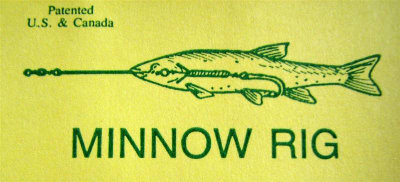 How to rig live crayfish for trout? : Fishing